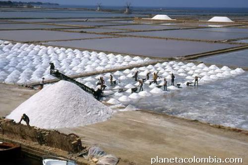 Proyecto Industrial Sal Marina Y Yeso Agrícola Guajira